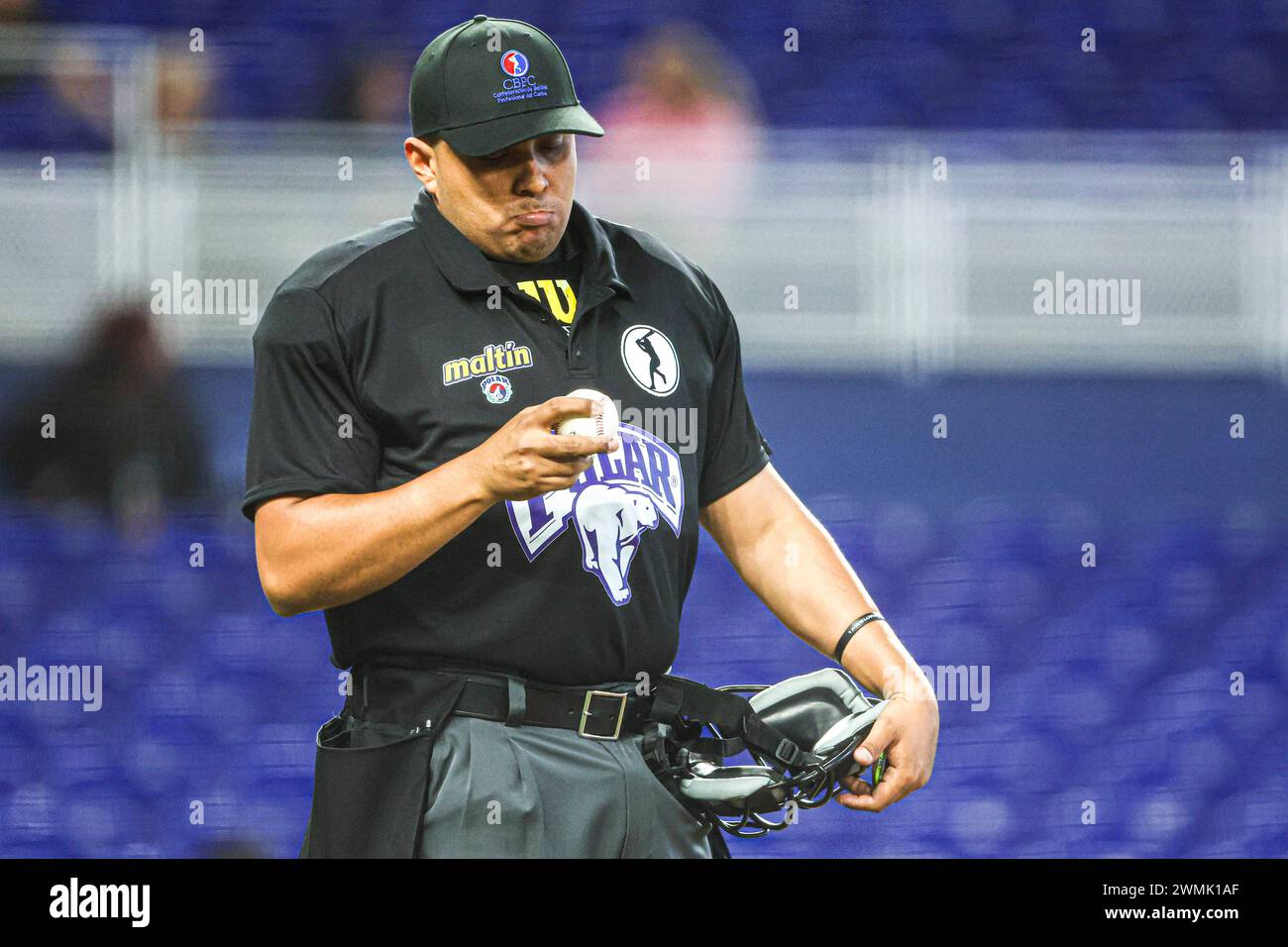 MIAMI, FLORIDA - FEBRUARY 2: umpire, ampayer see the ball , , during a ...