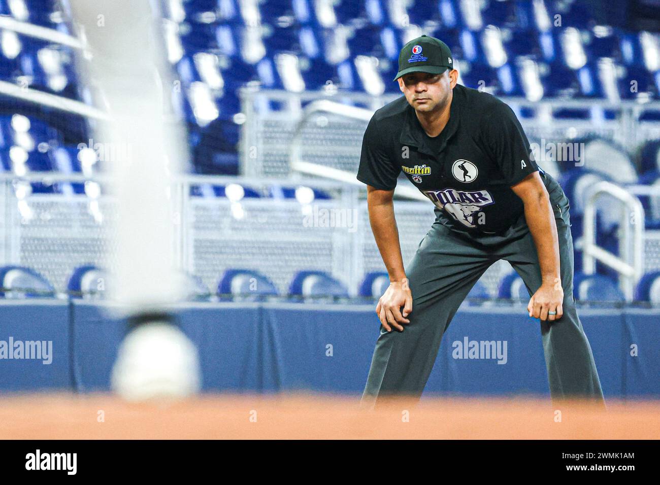 MIAMI, FLORIDA - FEBRUARY 2: umpire, ampayer , during a game between ...