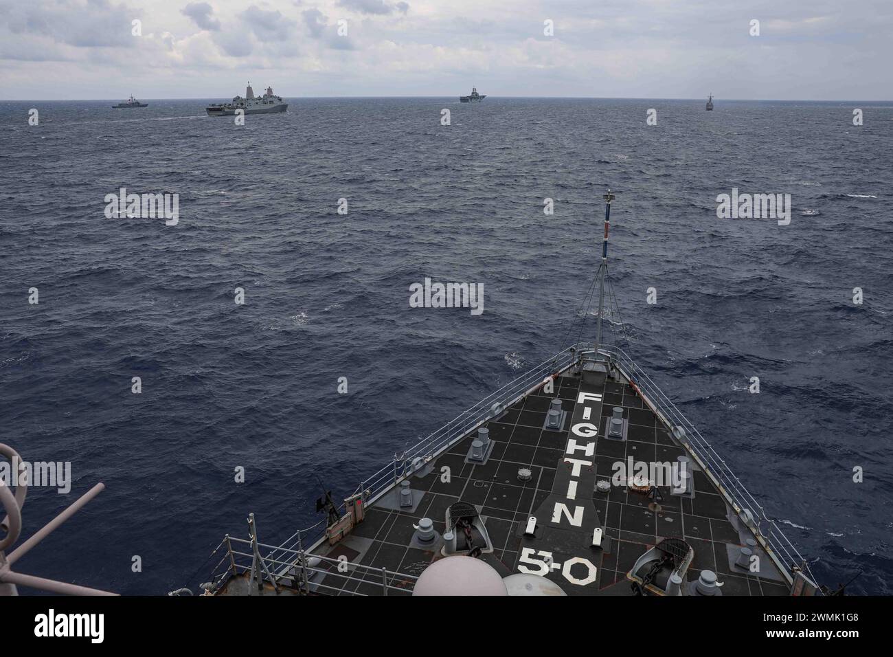 Turkish wasp hi-res stock photography and images - Alamy