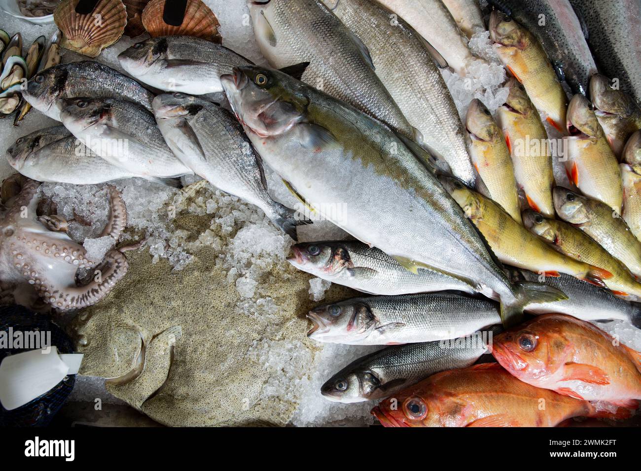 Fresh fish and seafood counter on market. A variety of different ...