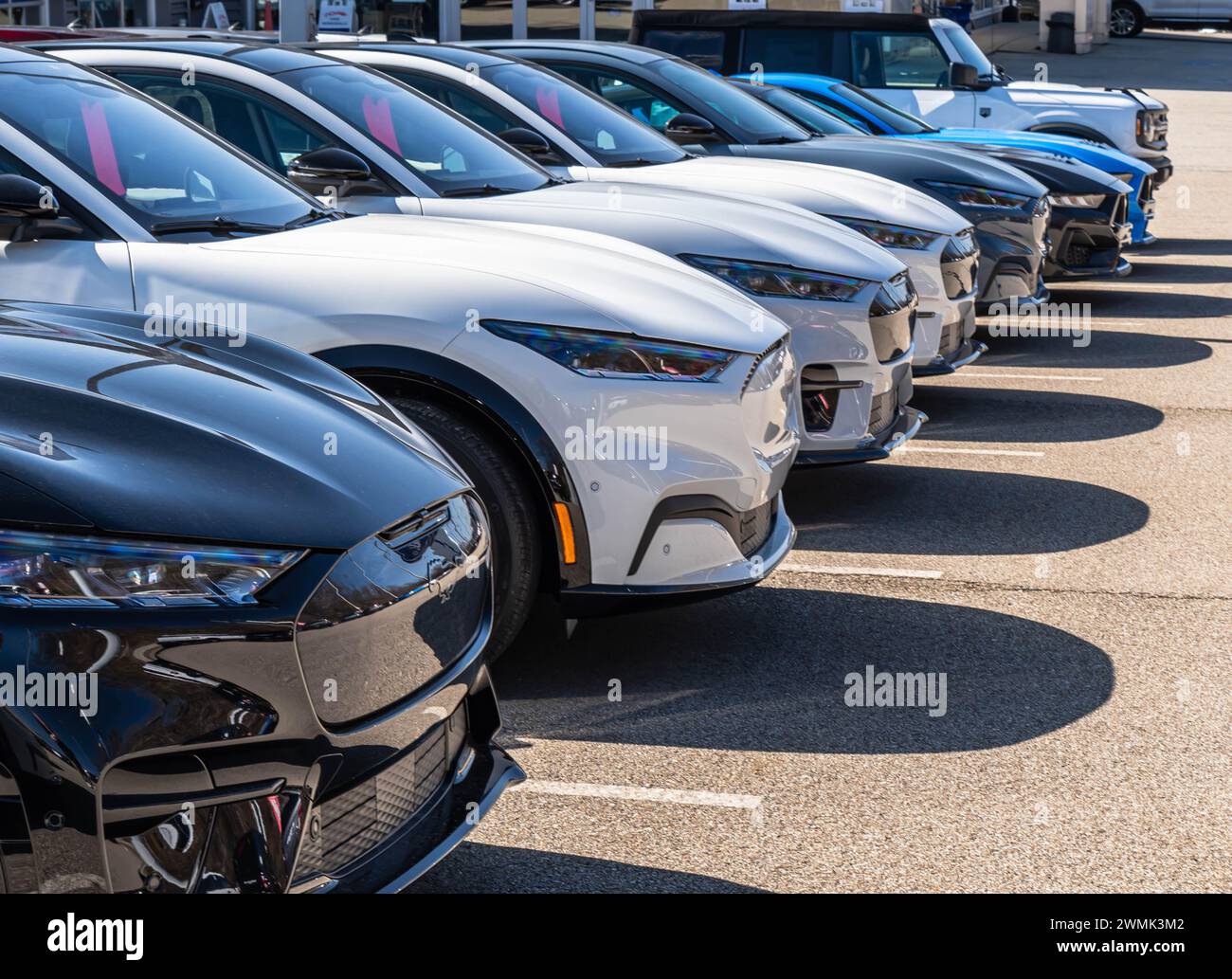 A line of new Ford Mustangs and a Bronco for sale at a dealership Stock ...