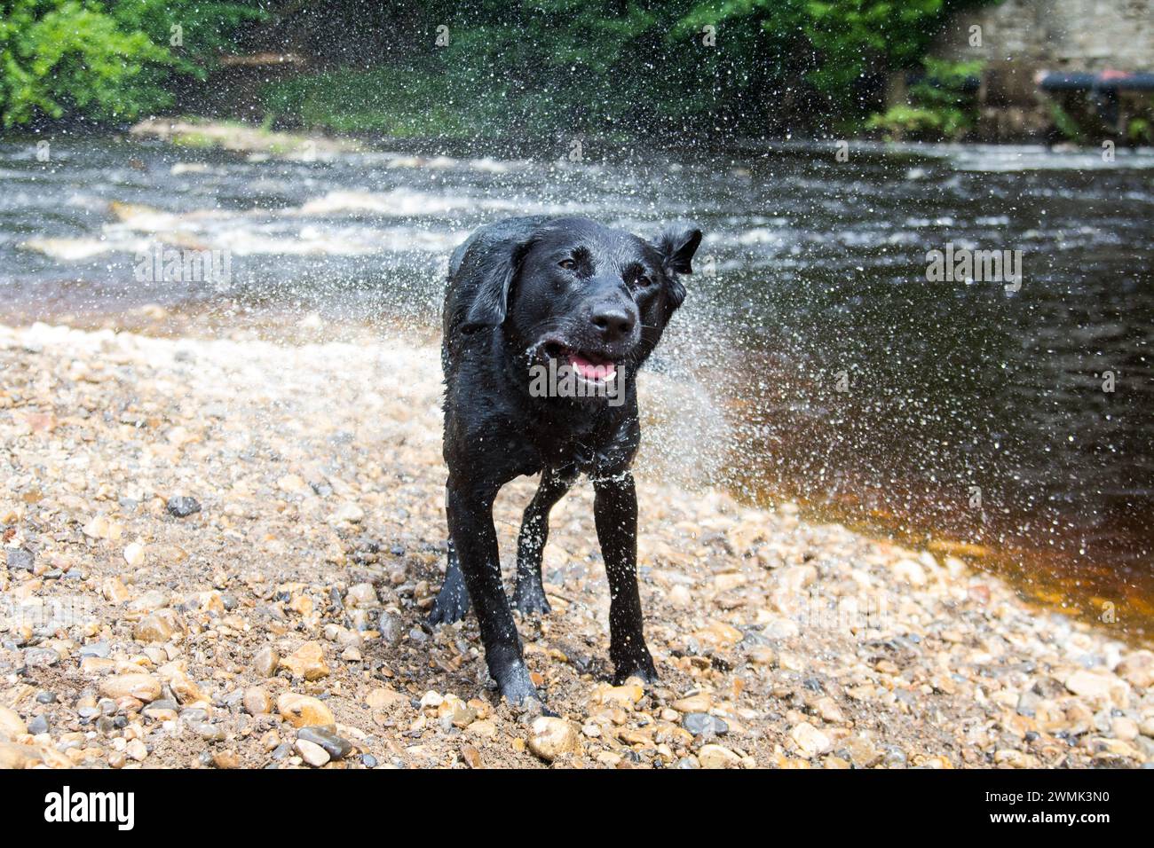 Water spraying from river hi-res stock photography and images - Alamy