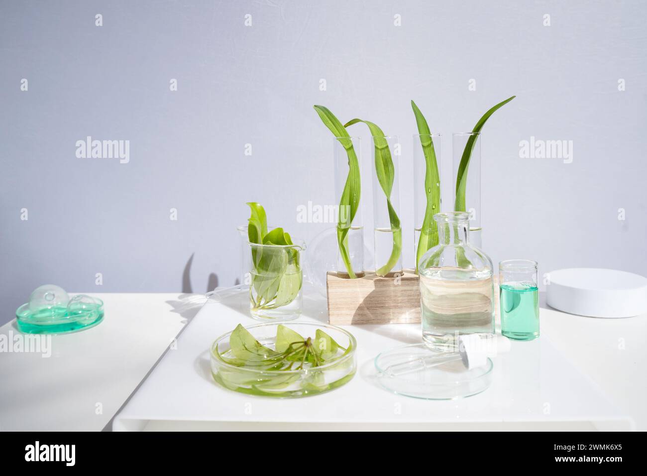 Science and nature concept Stock Photo - Alamy