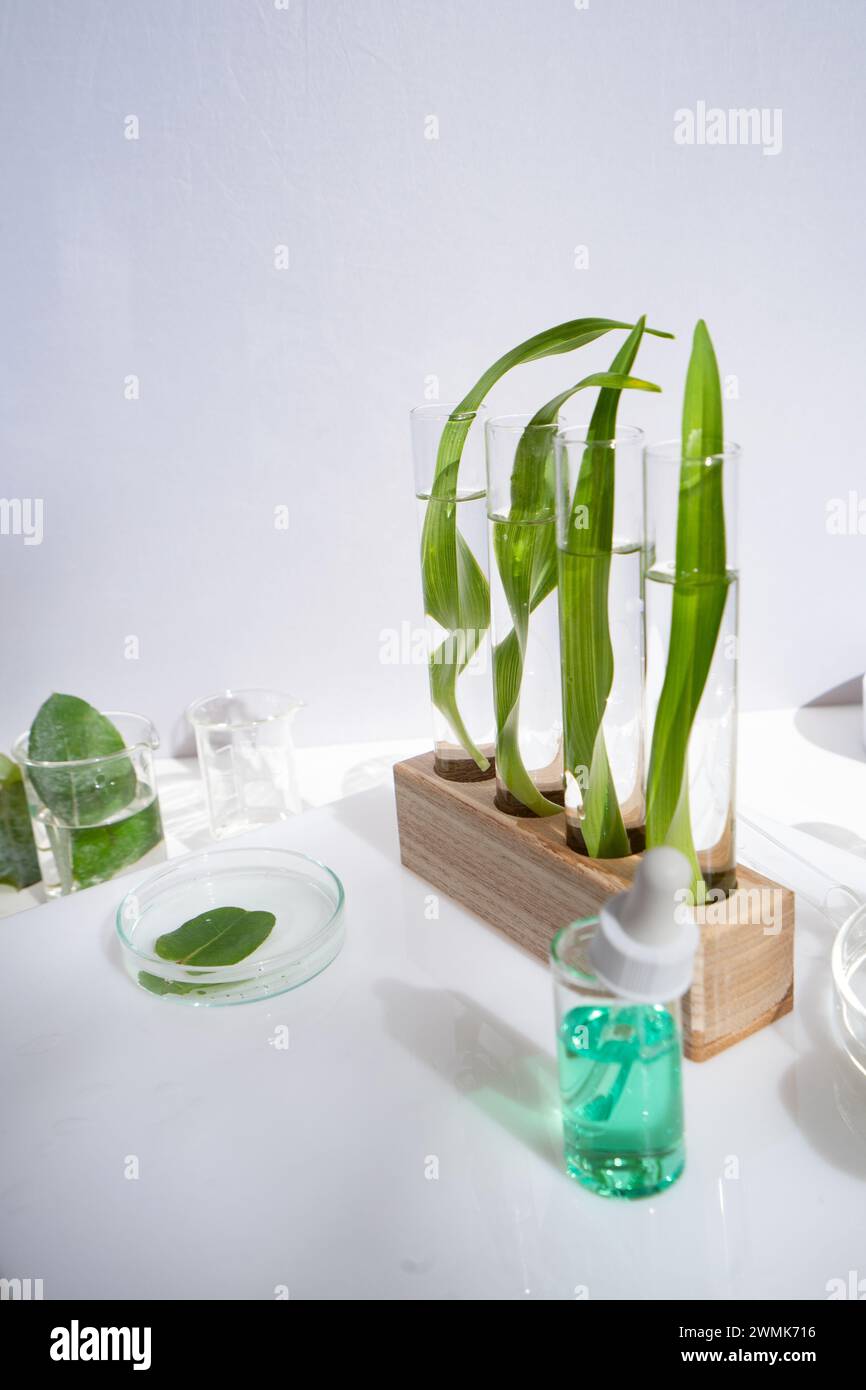 Science and nature concept Stock Photo - Alamy