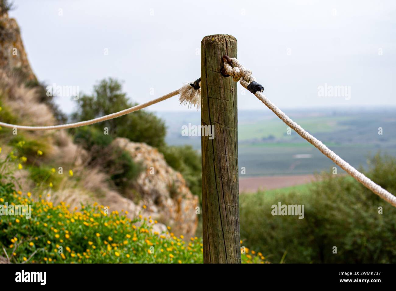 Rope fence on green grass background Stock Photo - Alamy