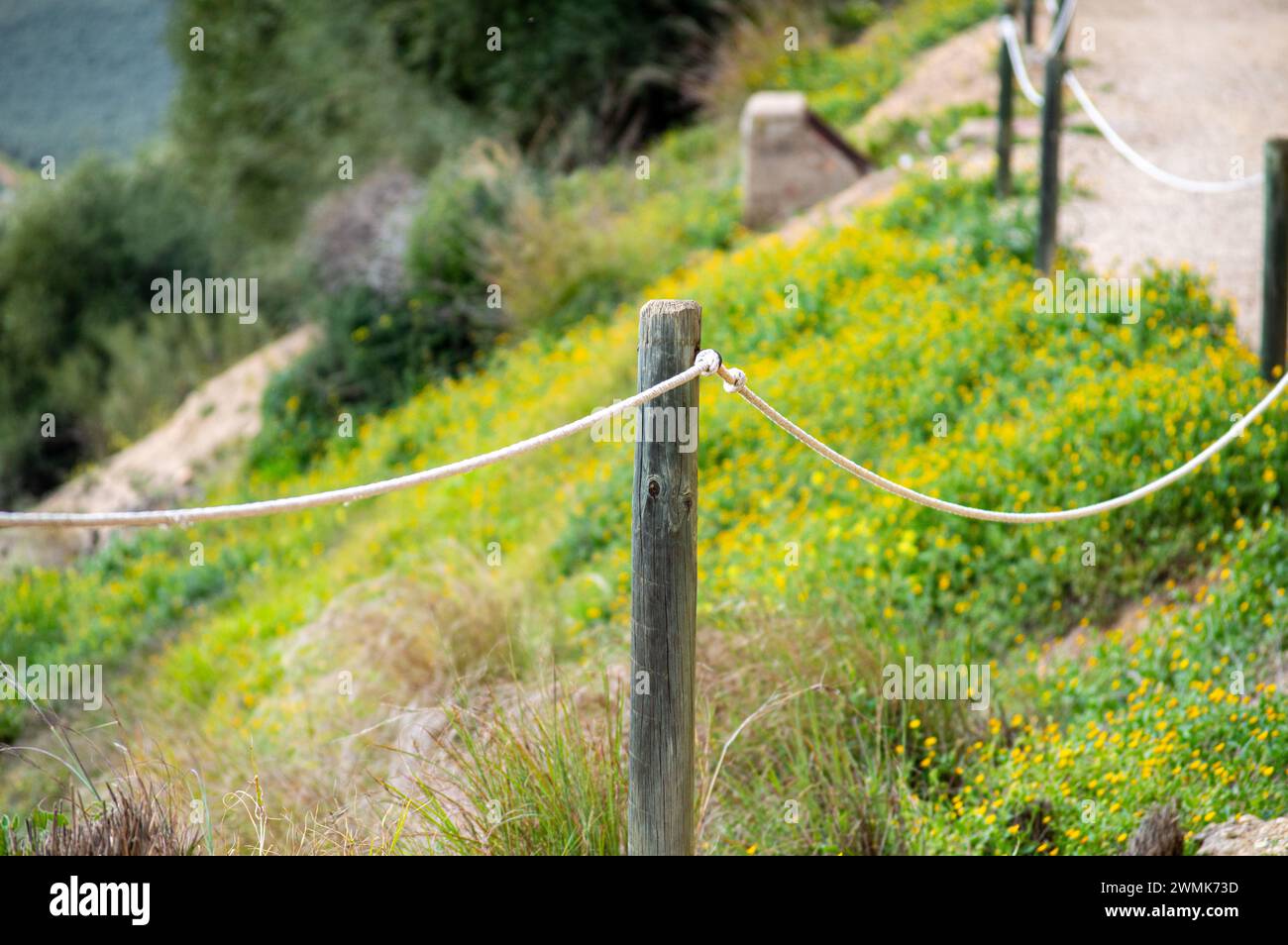 Rope fence on green grass background Stock Photo - Alamy