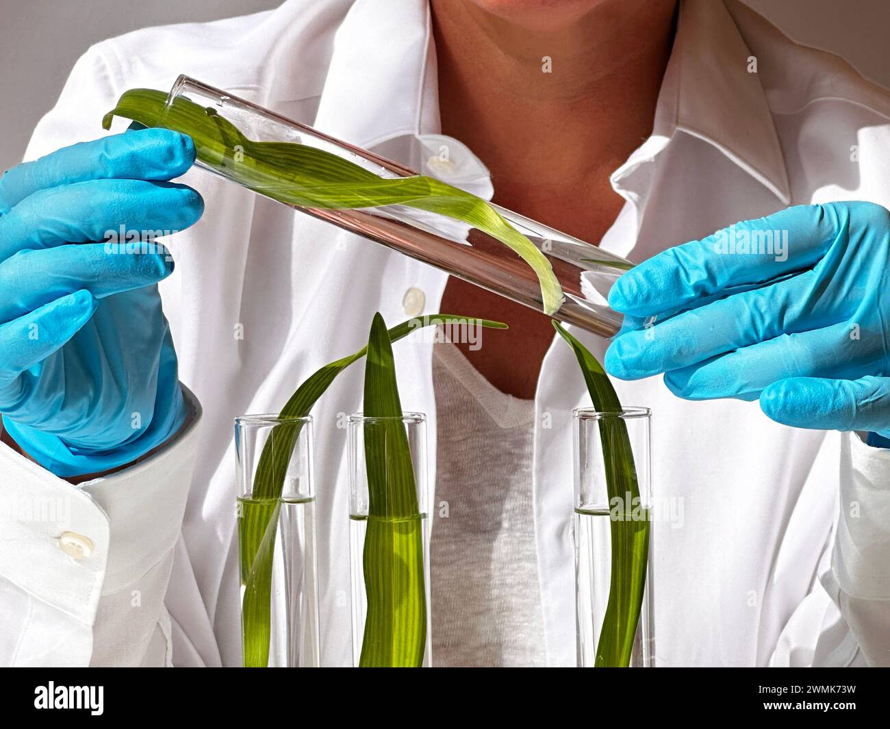 Science and nature concept Stock Photo - Alamy