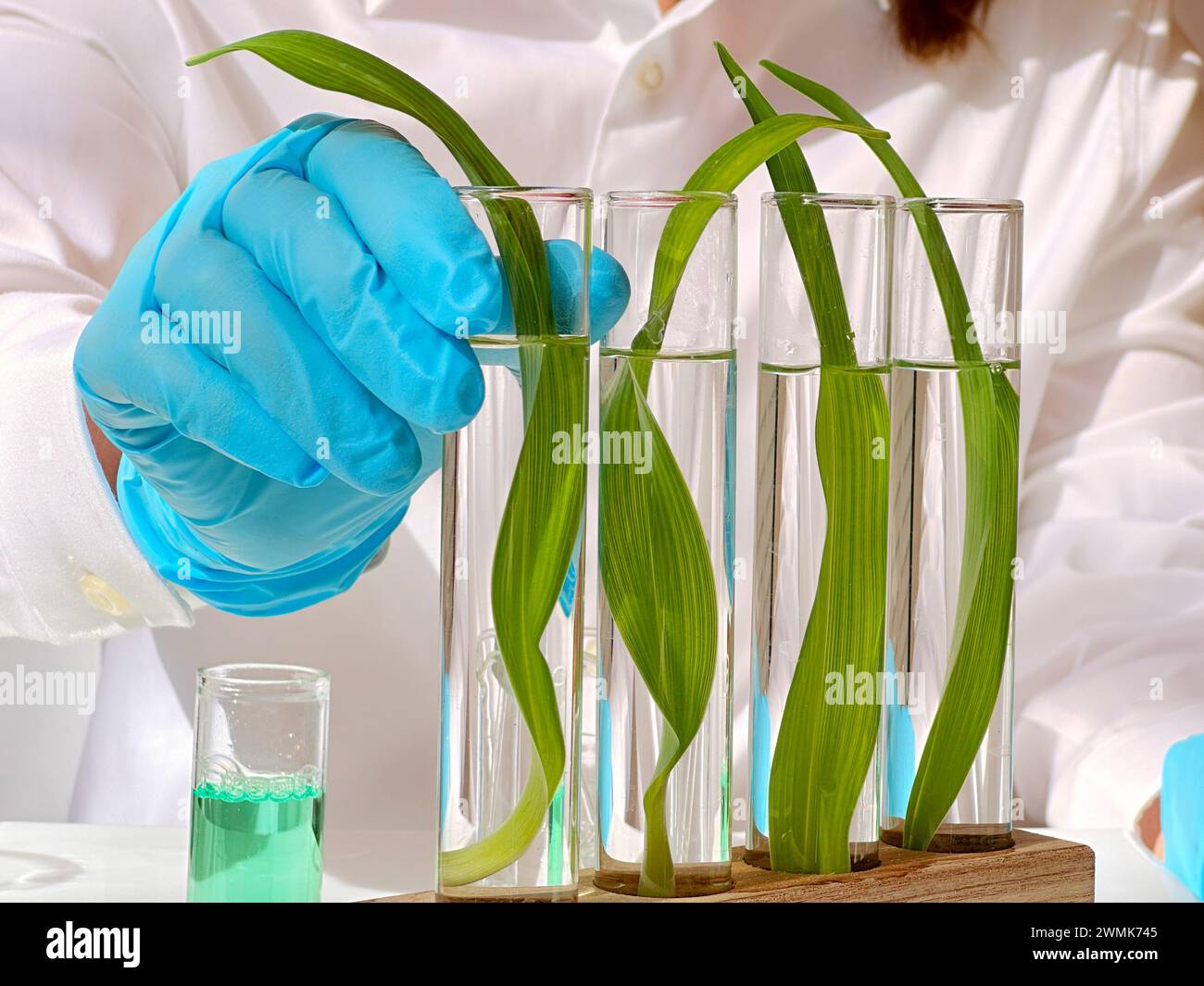 Science and nature concept Stock Photo - Alamy