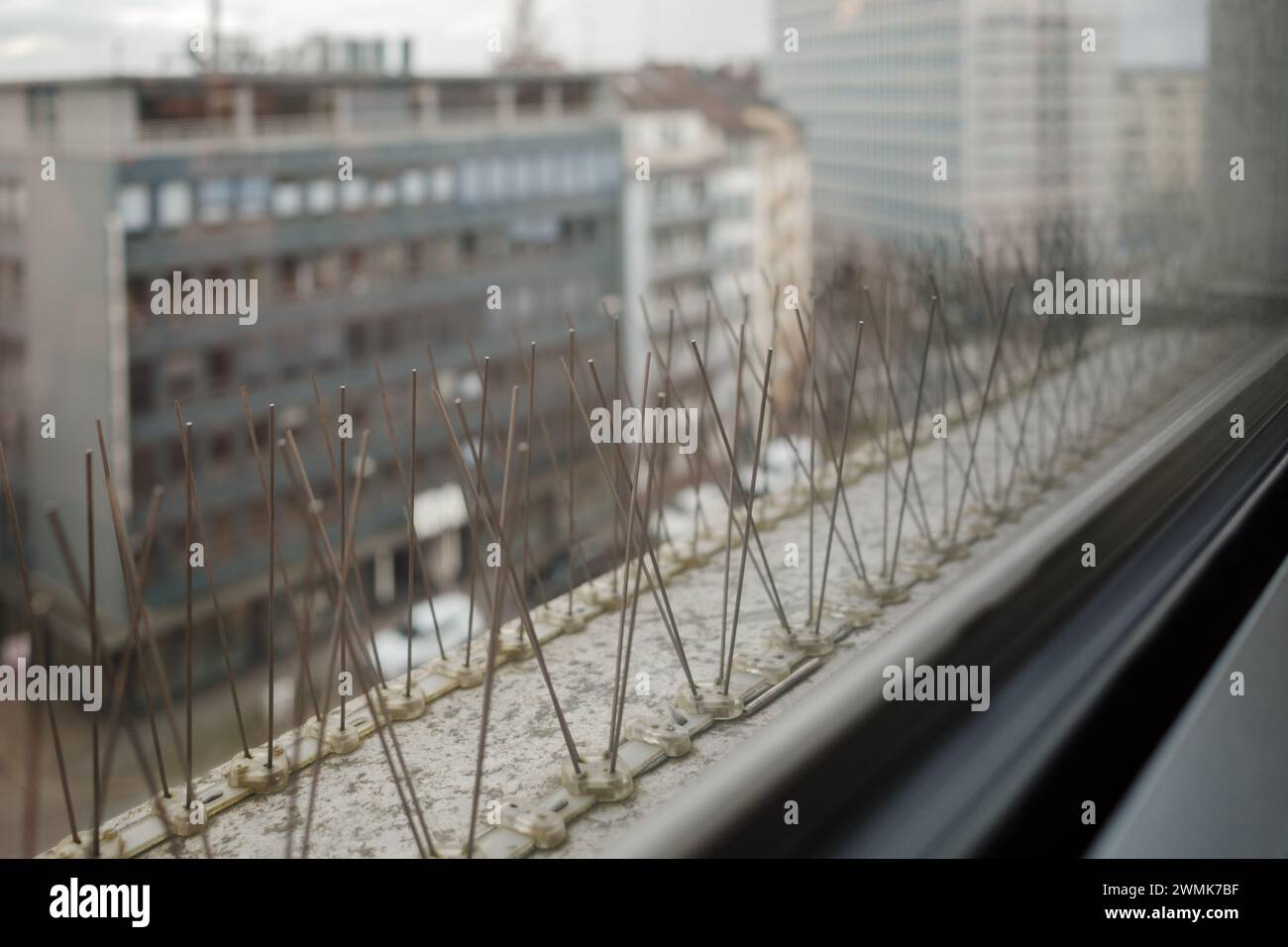 Selective focus and close up detail of Gutter Spikes for Birds, protect ...