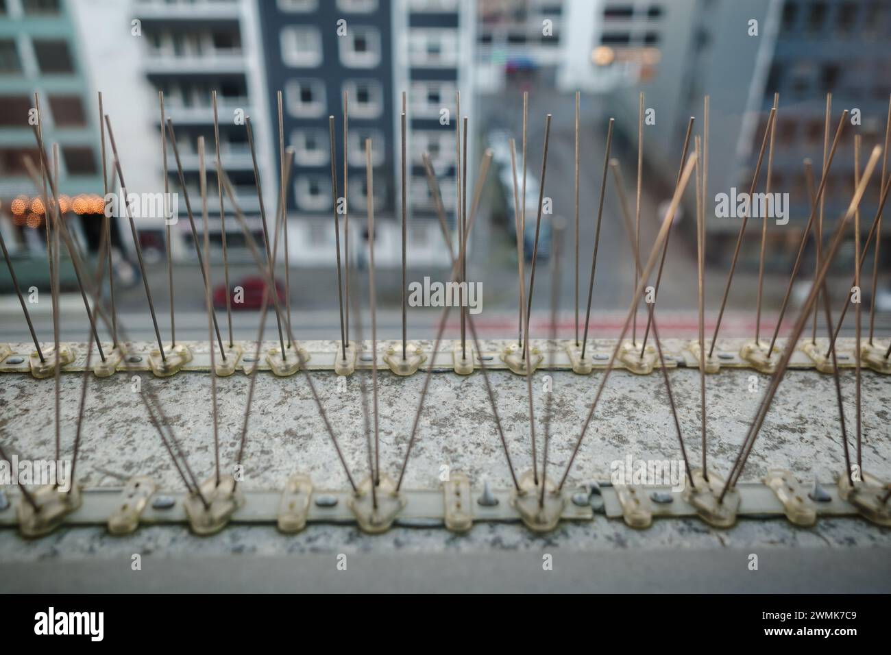 Selective focus and close up detail of Gutter Spikes for Birds, protect ...