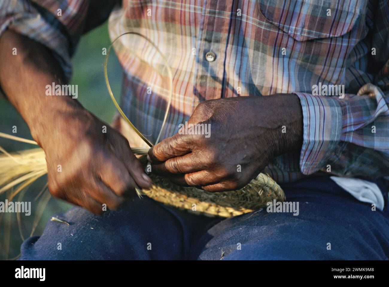 Close view of a basket weaver at work; Sea Islands, Georgia, United ...