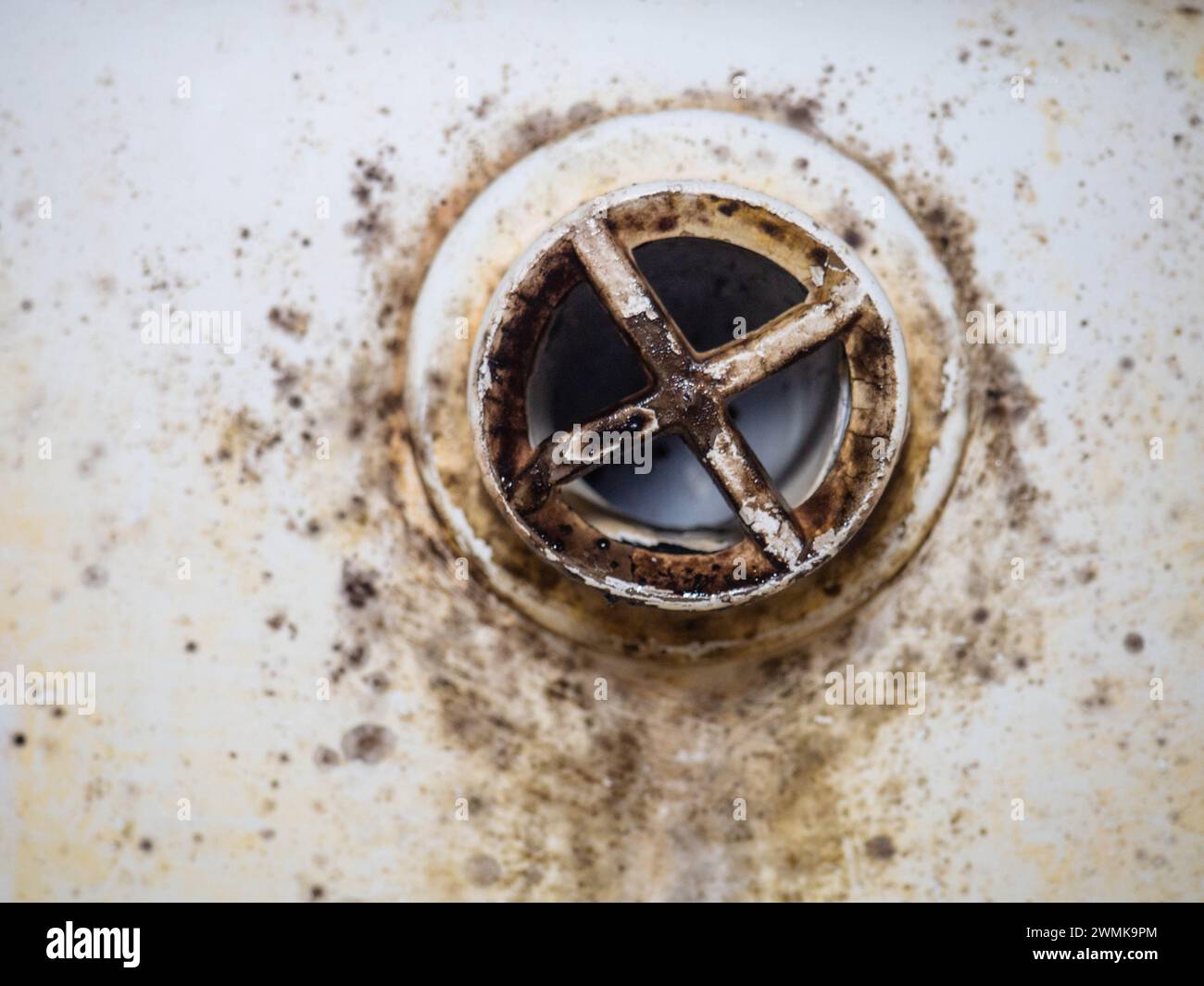 Mold and plaque on bathroom enamel. Bathroom drain. Dirt and infection ...