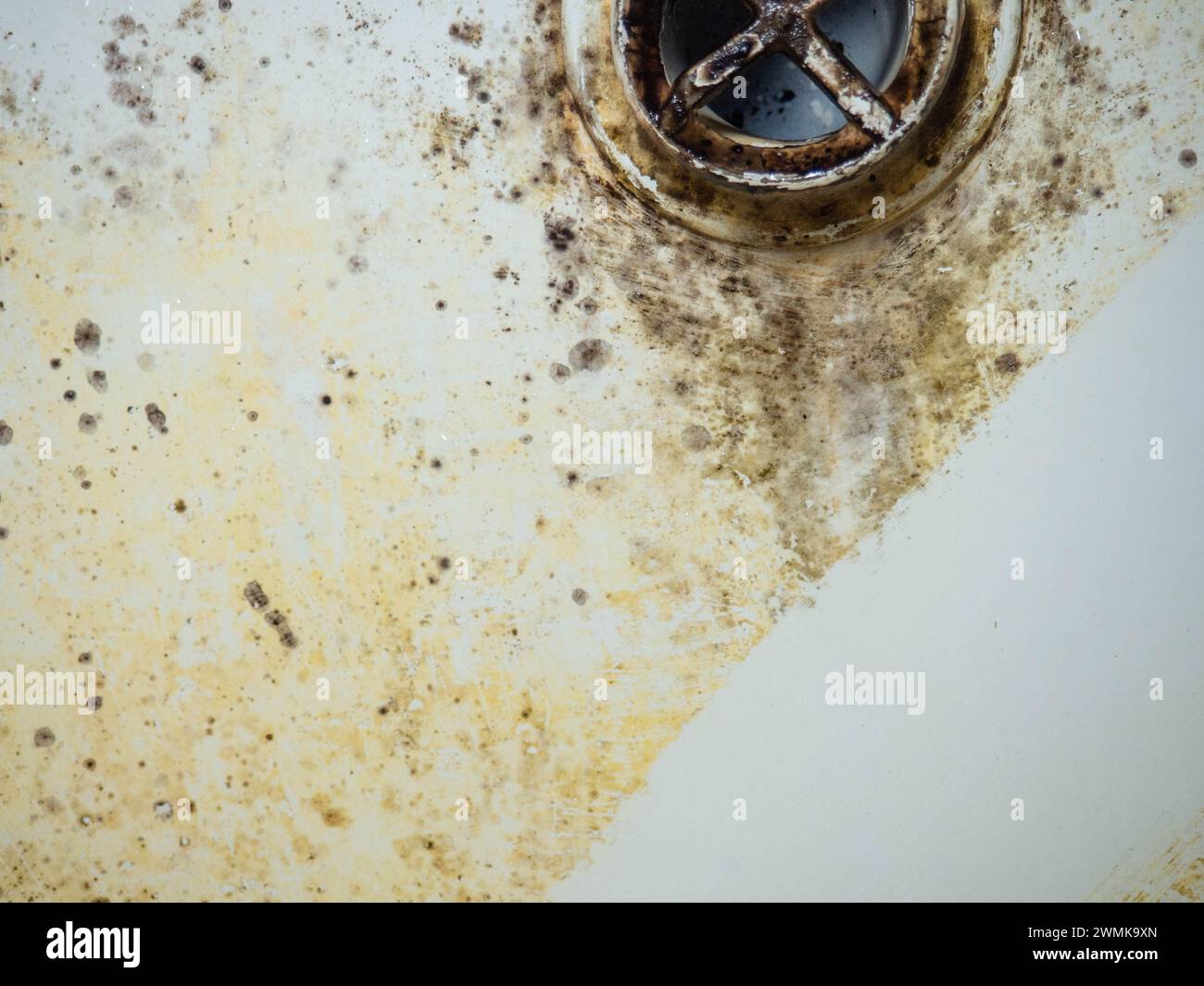 Contrast between clean and dirty. Mold and plaque on bathroom enamel ...