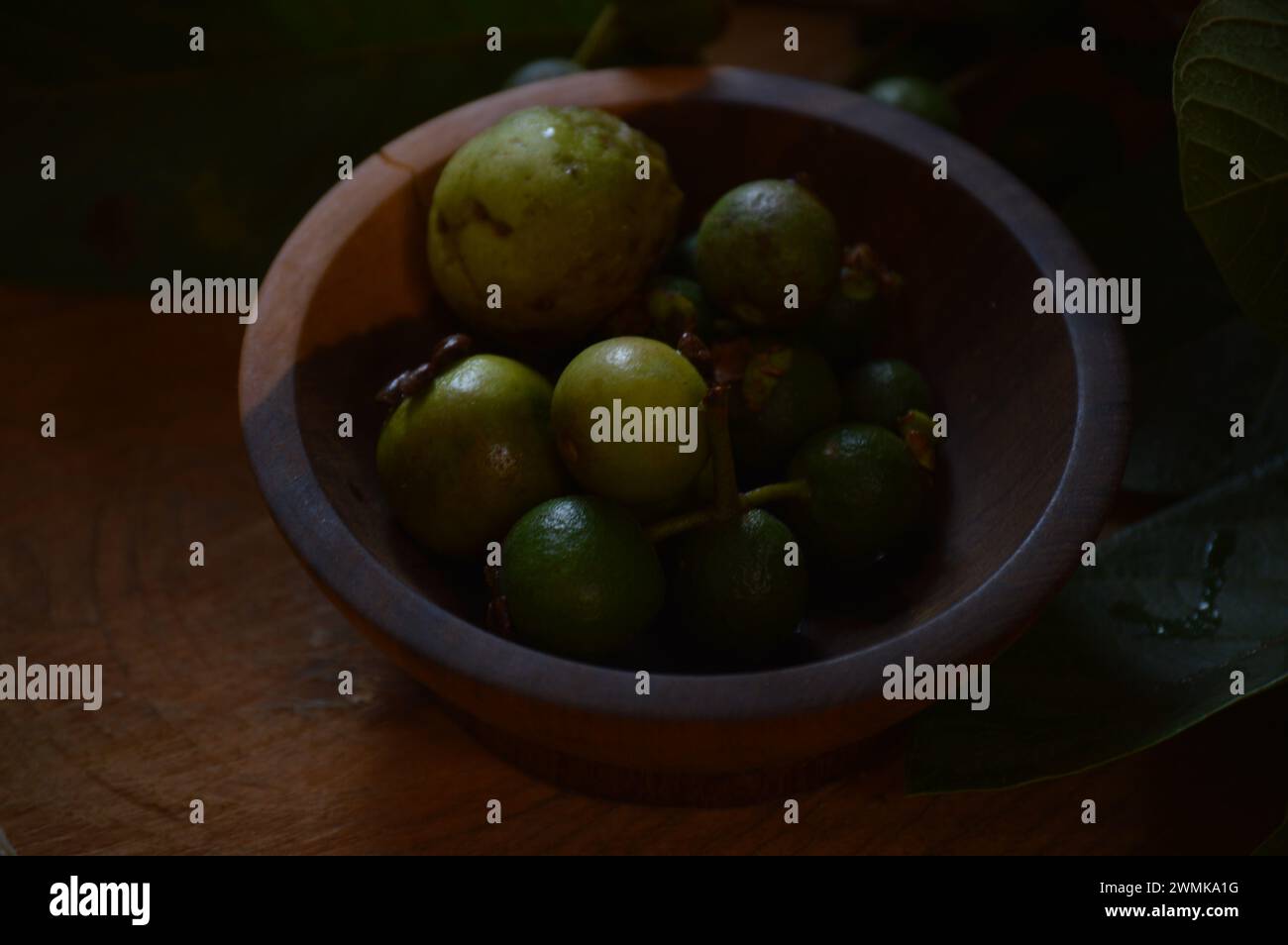 Araçá or Cattley guava fruit with scientific name (Psidium Cattleianum ...