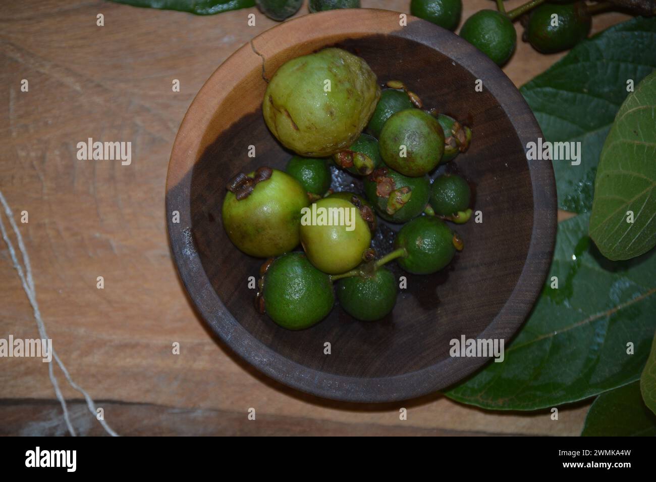 Araçá or Cattley guava fruit with scientific name (Psidium Cattleianum ...