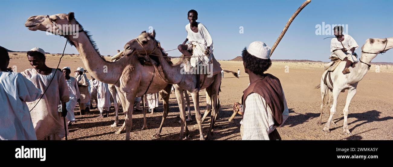 Baggara sudan hi-res stock photography and images - Alamy