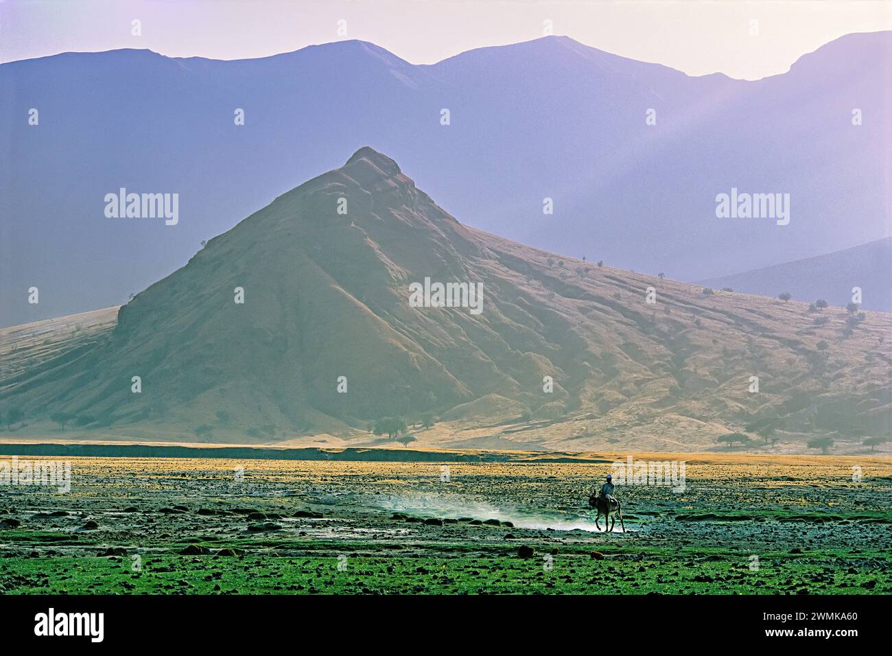 Baggara horseman on his journey; Sudan Stock Photo - Alamy