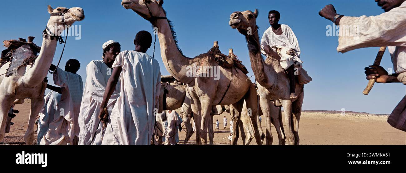 Baggara sudan hi-res stock photography and images - Alamy