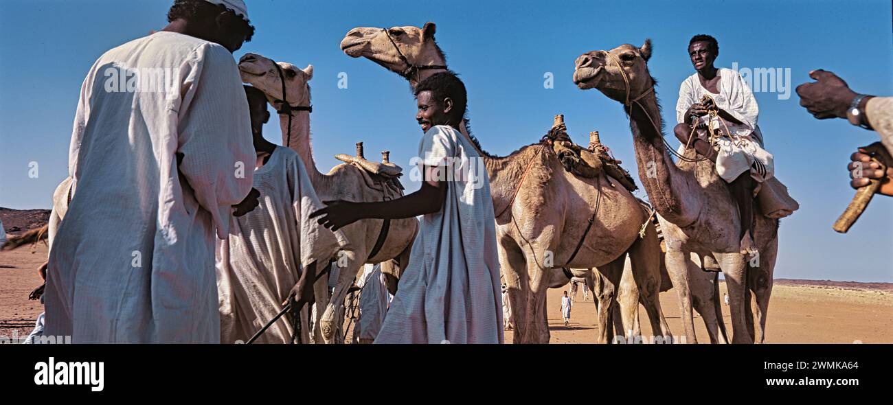 Baggara people on journey to the south of Sudan; Sudan Stock Photo - Alamy