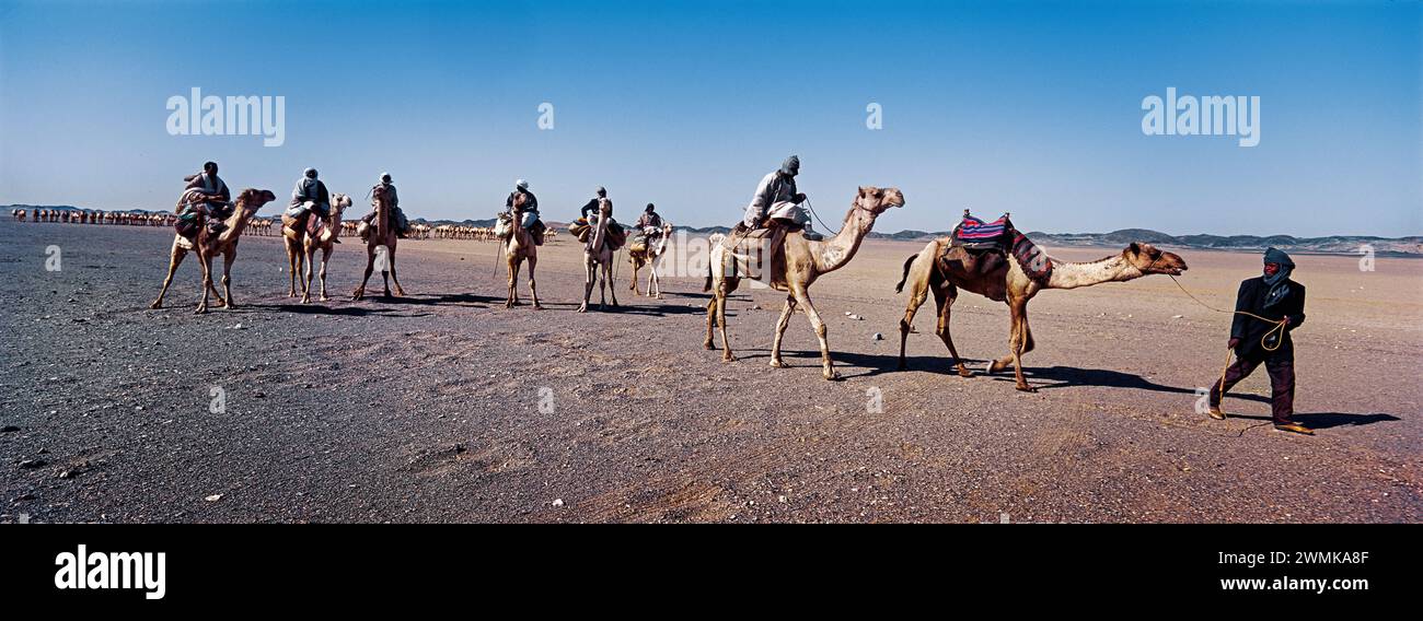 Baggara people on journey to the south of Sudan; Sudan Stock Photo - Alamy