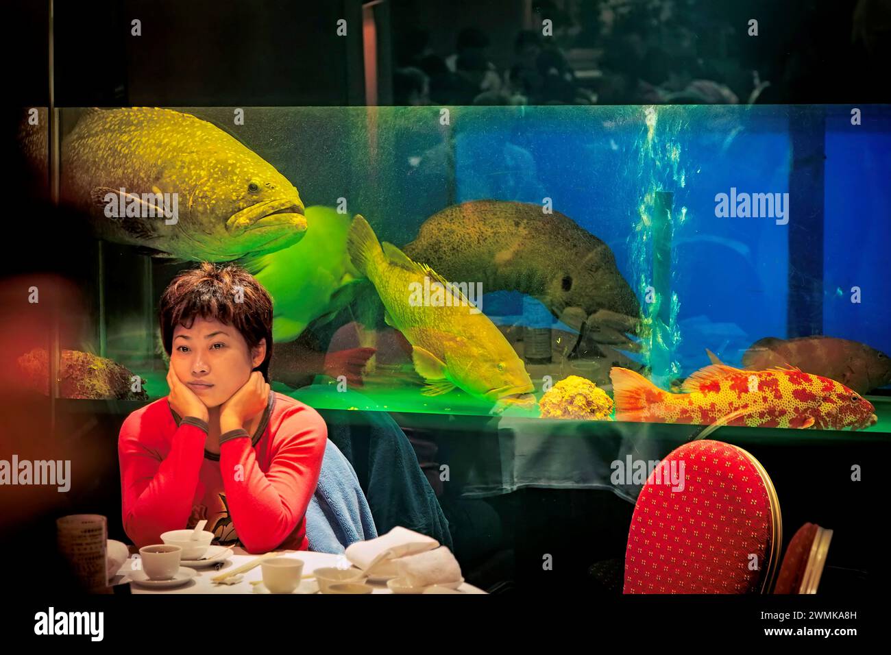 Customer at a live reef fish restaurant in Guangzhou where a variety of ...