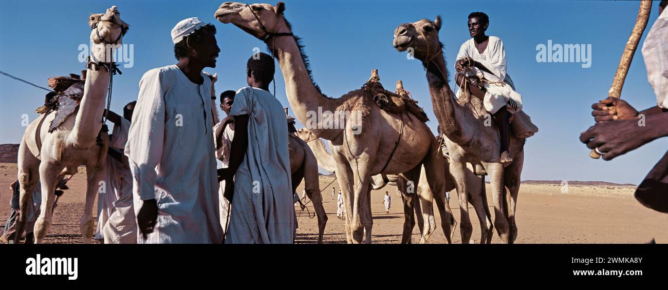 Baggara people on journey to the south of Sudan; Sudan Stock Photo - Alamy