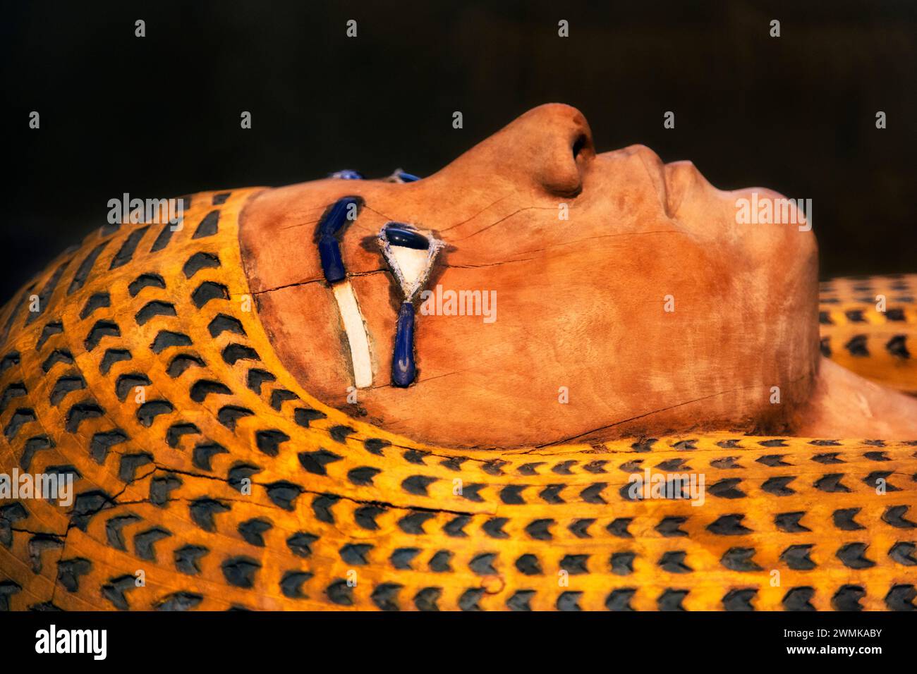 NA Wooden mummy sarcophargus of mummified Egyptian Pharoah, Royal Grand ...