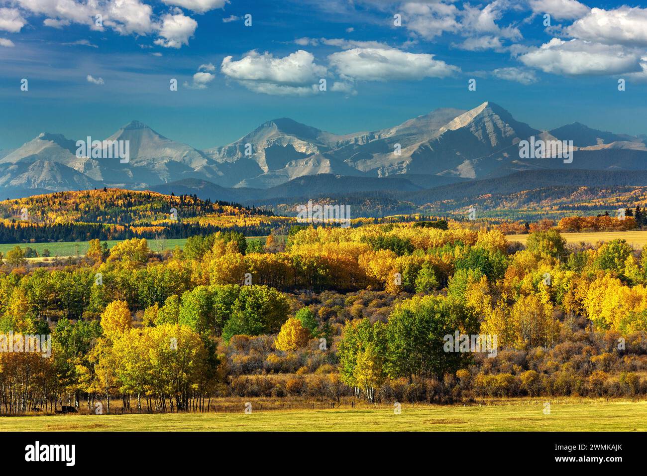 Golden clouds colours hi-res stock photography and images - Alamy