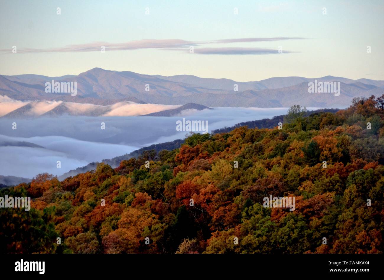Autumn scene of clouds in the valleys of the Blue Ridge Mountains. The ...