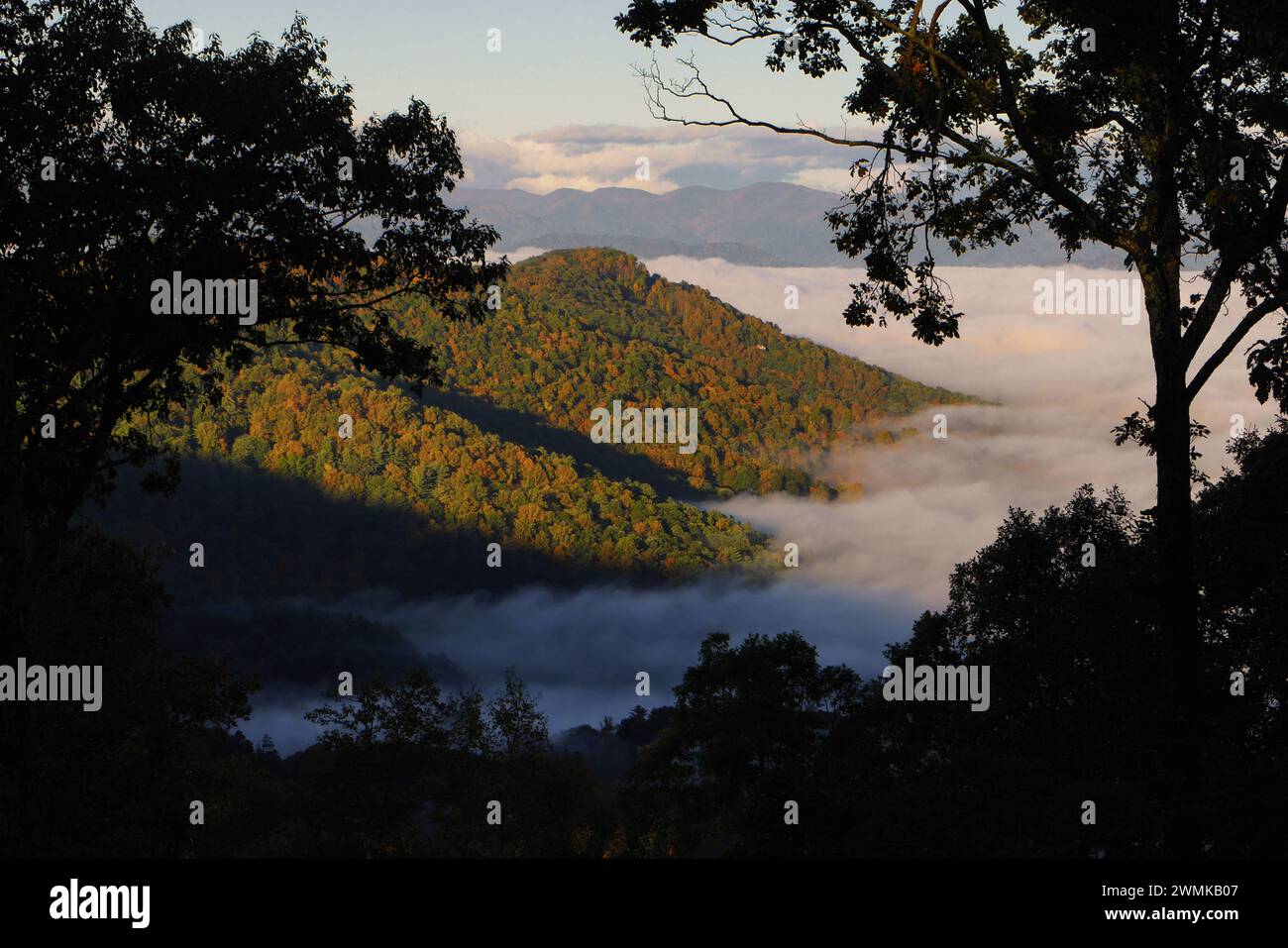 Clouds fill the valley below in the morning, Blue Ridge Mountains ...