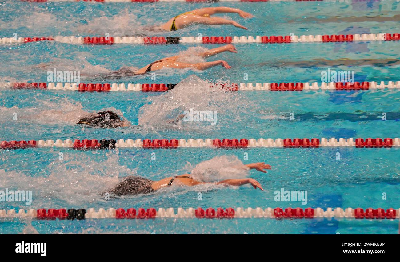 Side view swimmers in pool hi-res stock photography and images - Alamy