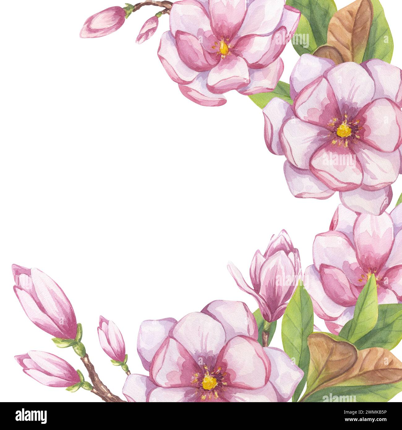 Pink magnolia moon frame. Branch flower, buds, leaves. Blooming floral ...