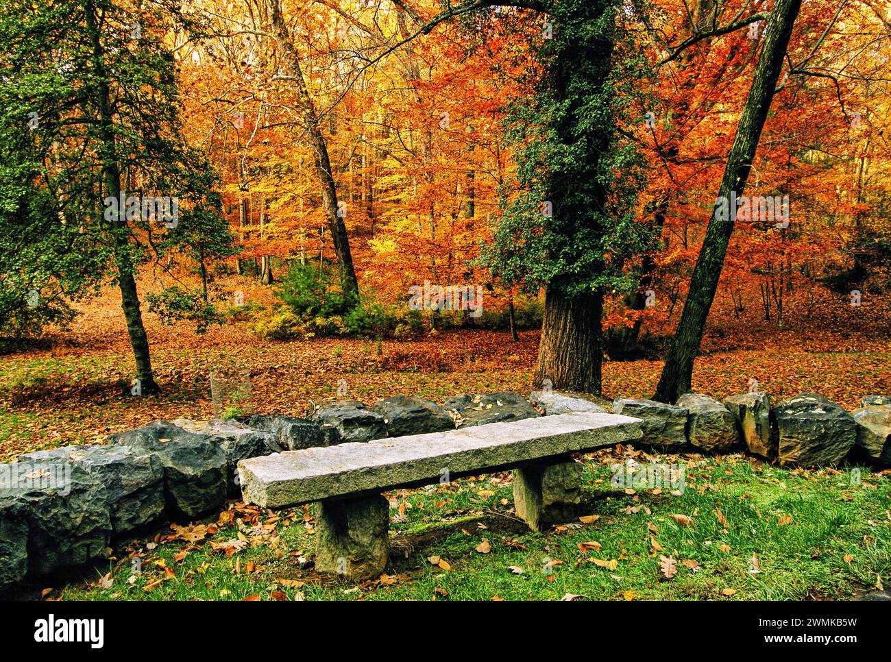 Stone bench in a wooded setting of trees in fall foliage in the Blue ...