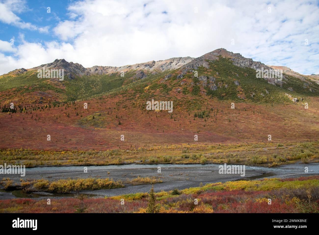 Fall colors along the Savage River Loop Trail in Denali National Park ...