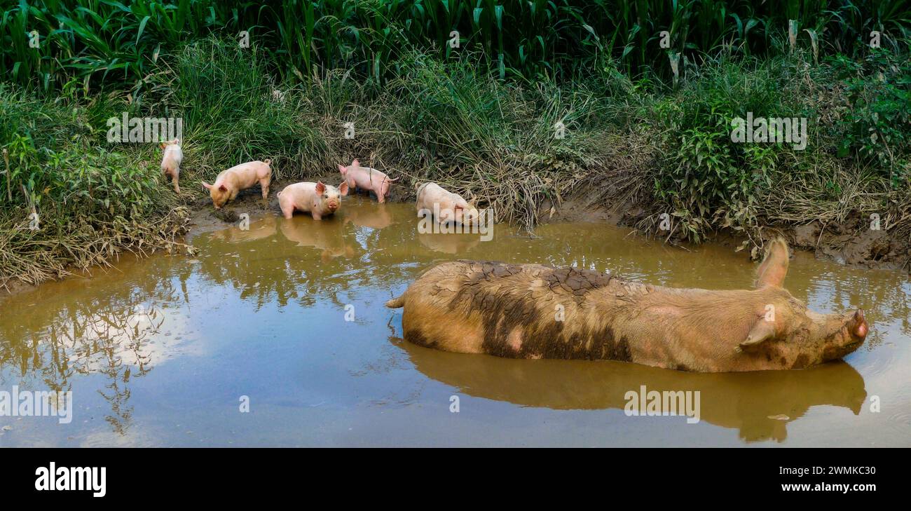 Waters family hi-res stock photography and images - Alamy