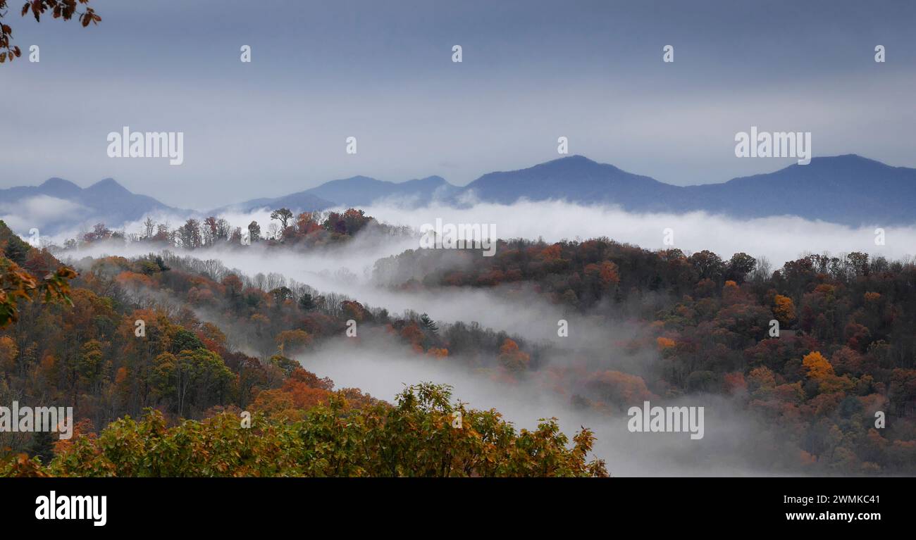 Clouds fill a mountain valley that is full of autumn color along the ...