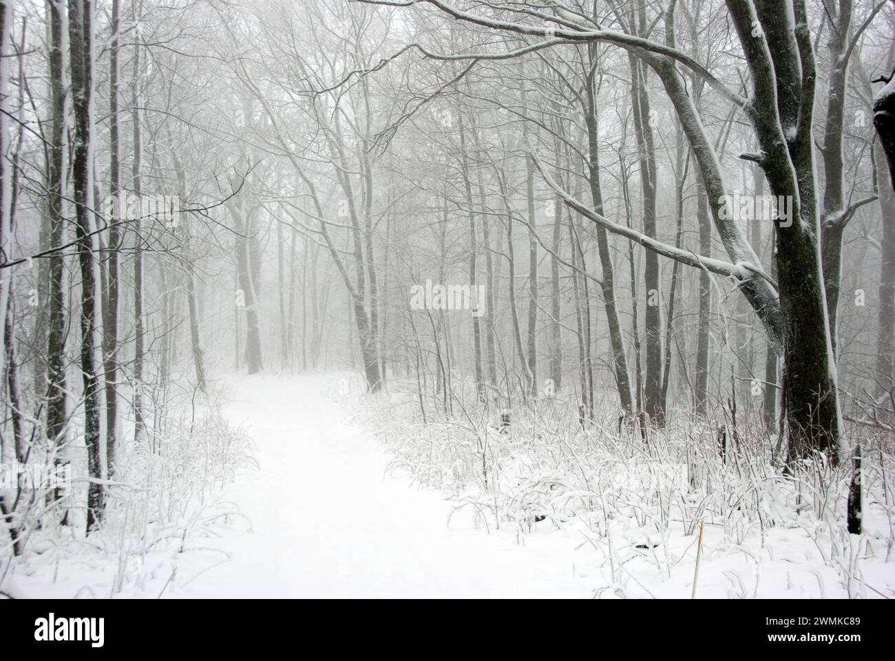 Ice covered trail hi-res stock photography and images - Alamy