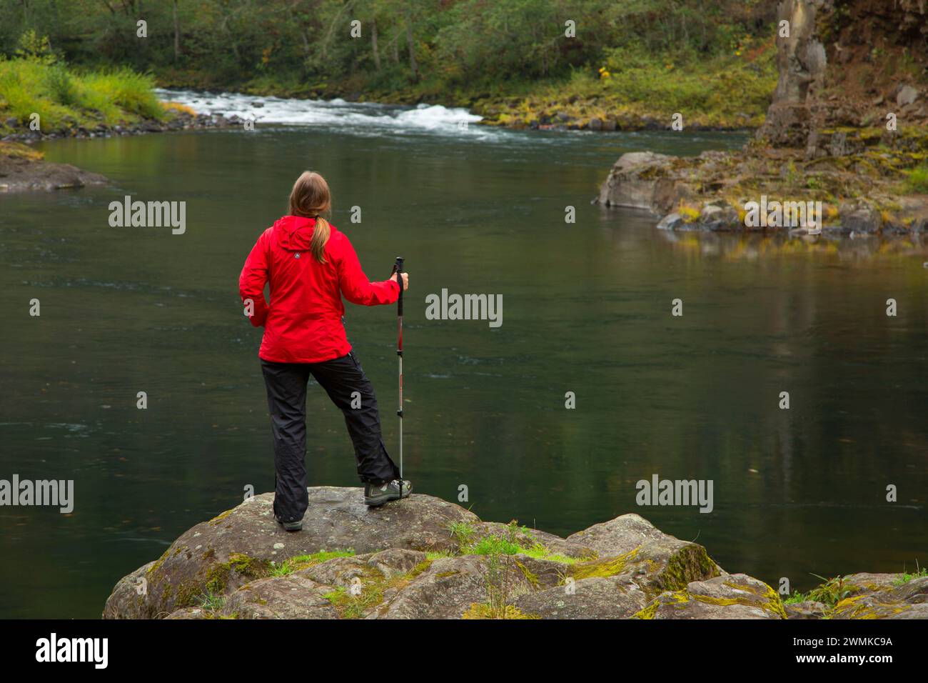 Clackamas Wild and Scenic River at Big Eddy, West Cascades Scenic Byway ...