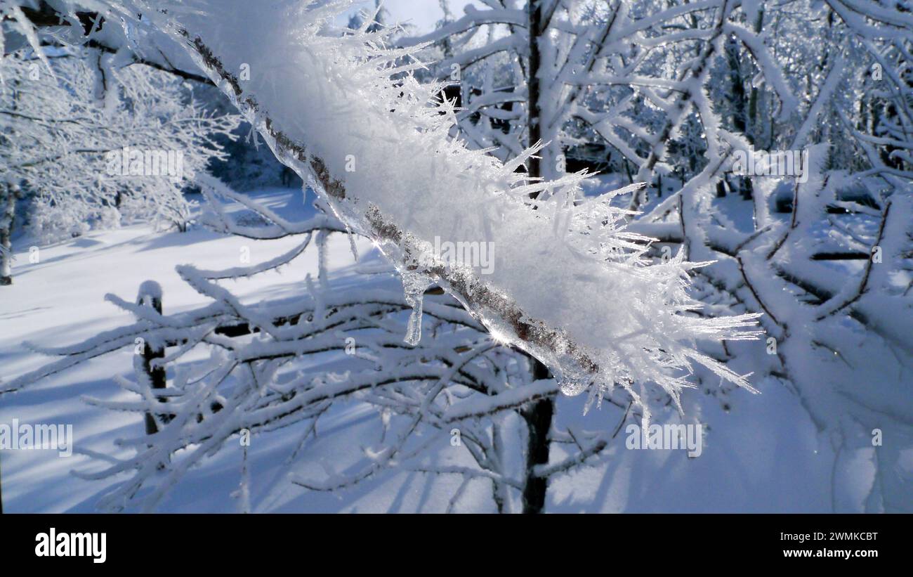 Rime ice formation hi-res stock photography and images - Alamy