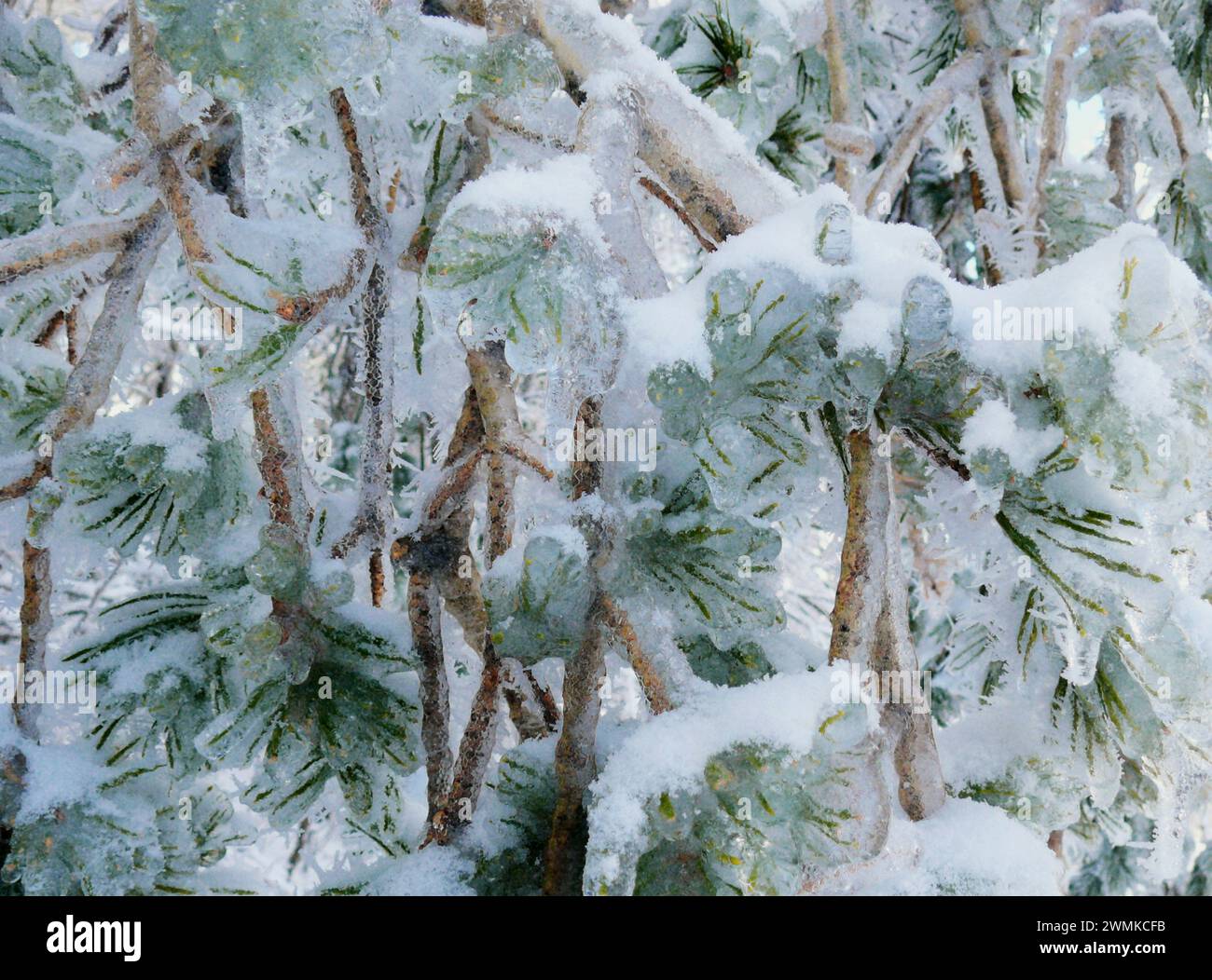 Temperature extreme hi-res stock photography and images - Alamy