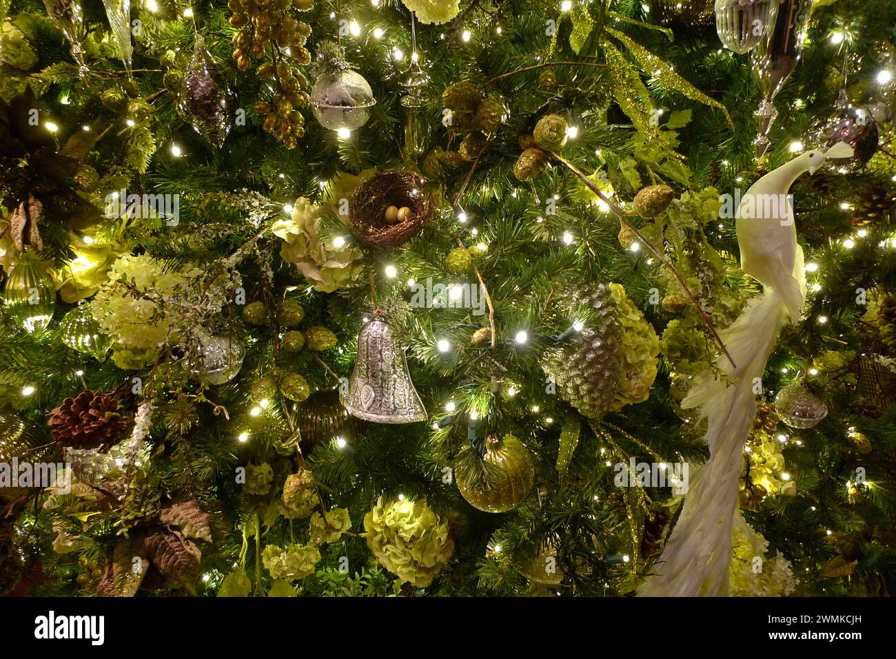 Shimmering bird hi-res stock photography and images - Alamy