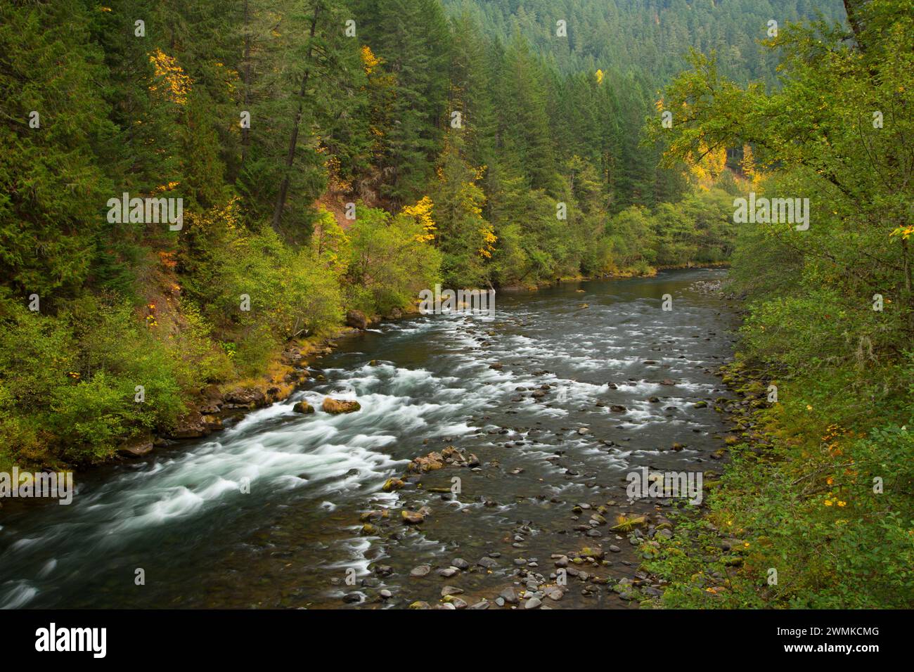 Clackamas Wild and Scenic River, West Cascades Scenic Byway, Mt Hood ...