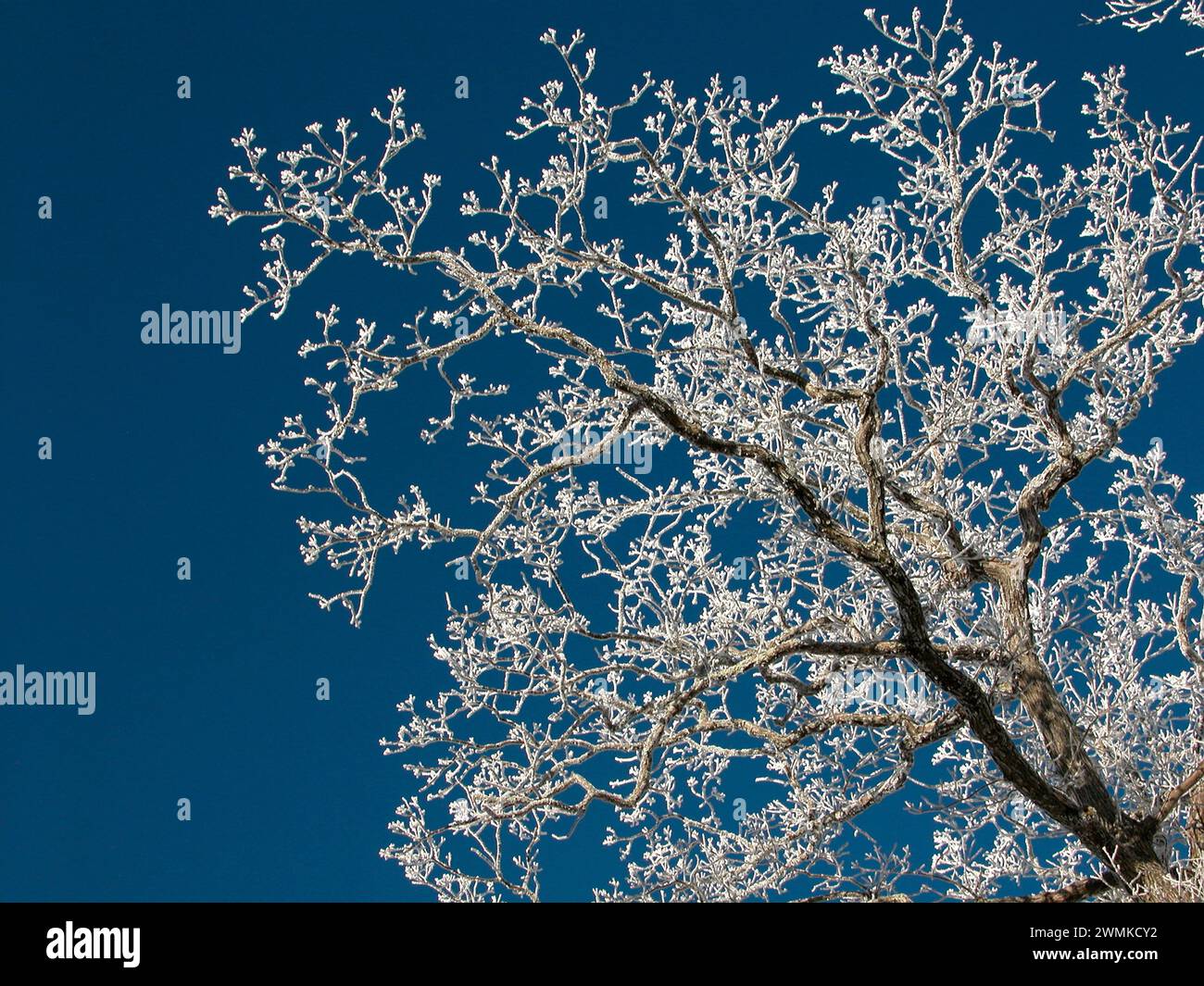 Of bright ice hi-res stock photography and images - Alamy