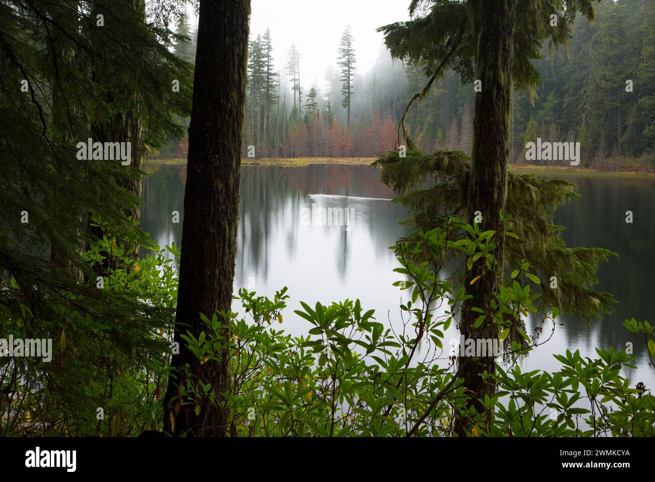 Hiking round the lake hi-res stock photography and images - Alamy