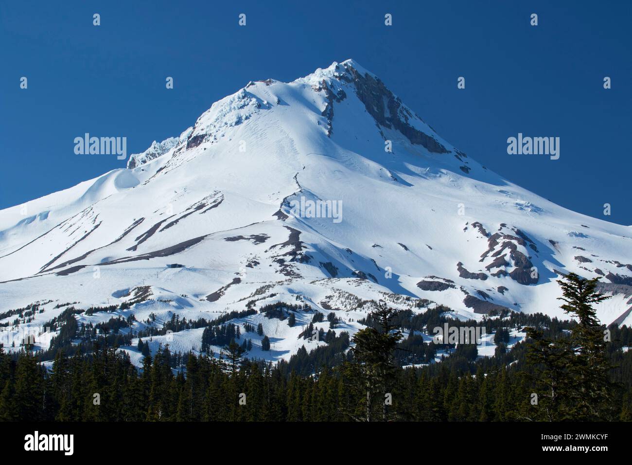 Mount Hood, Mt Hood National Forest, Oregon Stock Photo - Alamy