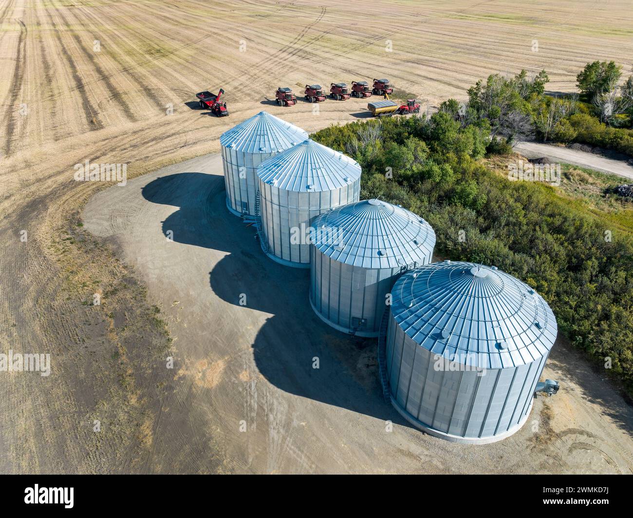 Aerial view of large metal grain bins in a cut field along a row of ...