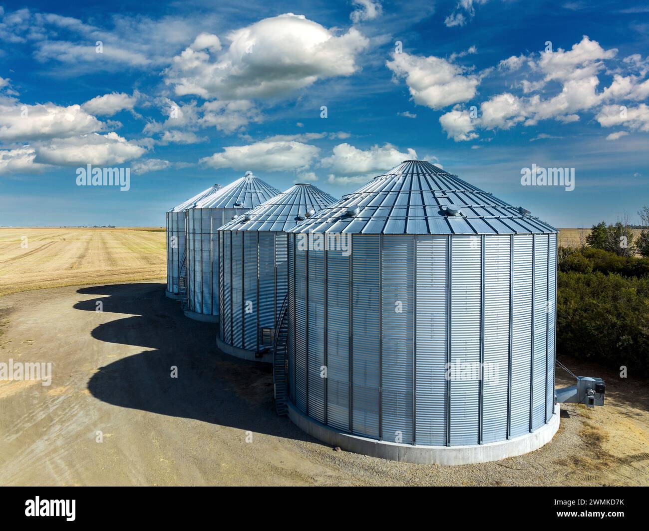 Large metal grain bins in a row in a field, near Beiseker, Alberta ...