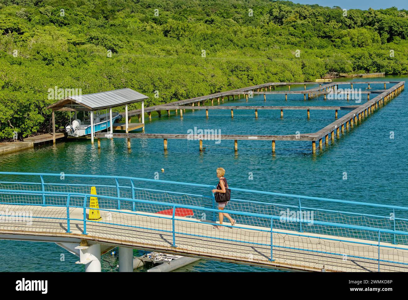 ROATAN, HONDURAS - January 23, 2024: The Port of Roatan is one of two ...