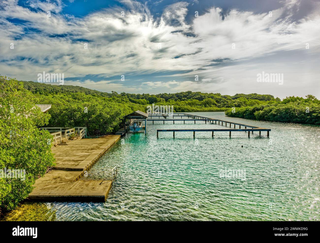 ROATAN, HONDURAS - January 23, 2024: The Port of Roatan is one of two ...