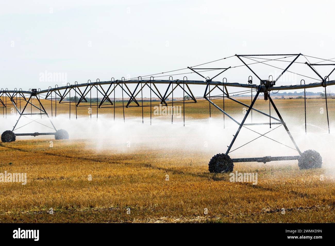 Large irrigation equipment on wheels watering a grain field, East of ...